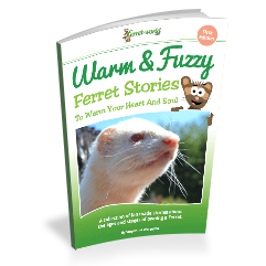 Warm & Fuzzy: Ferret Stories To Warm Your Heart and Soul