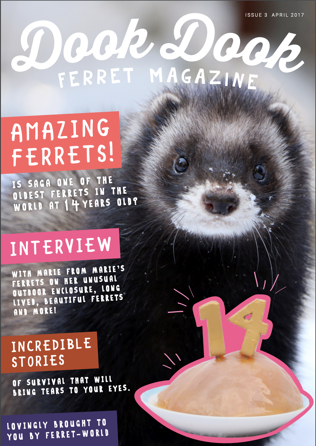 Dook Dook Ferret Magazine Issue 3 – Amazing Ferrets Edition